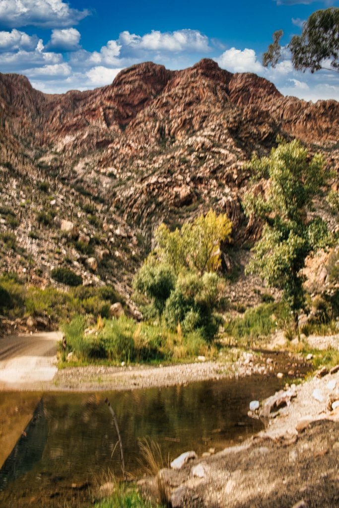 Down memory lane on the Swartbergpas - Billabong Gypsey